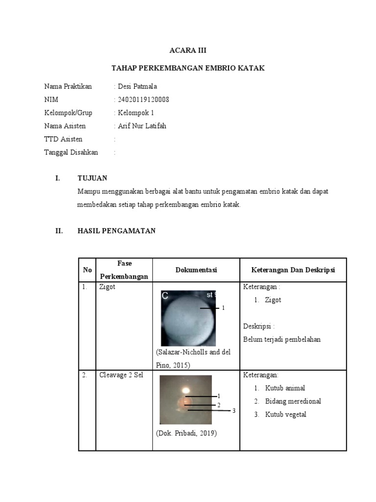 Hasil Pengamatan Embrio Katak | PDF