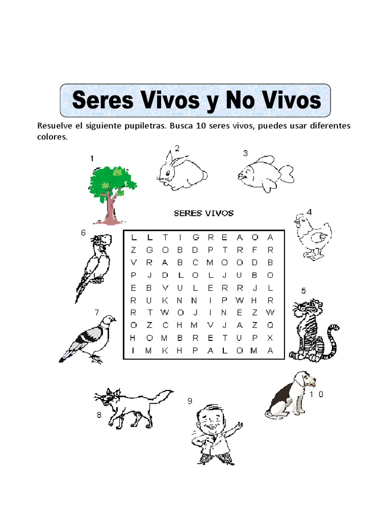 Hojas De Trabajo Sobre Seres Vivos Y Seres No Vivos Exposición De Los