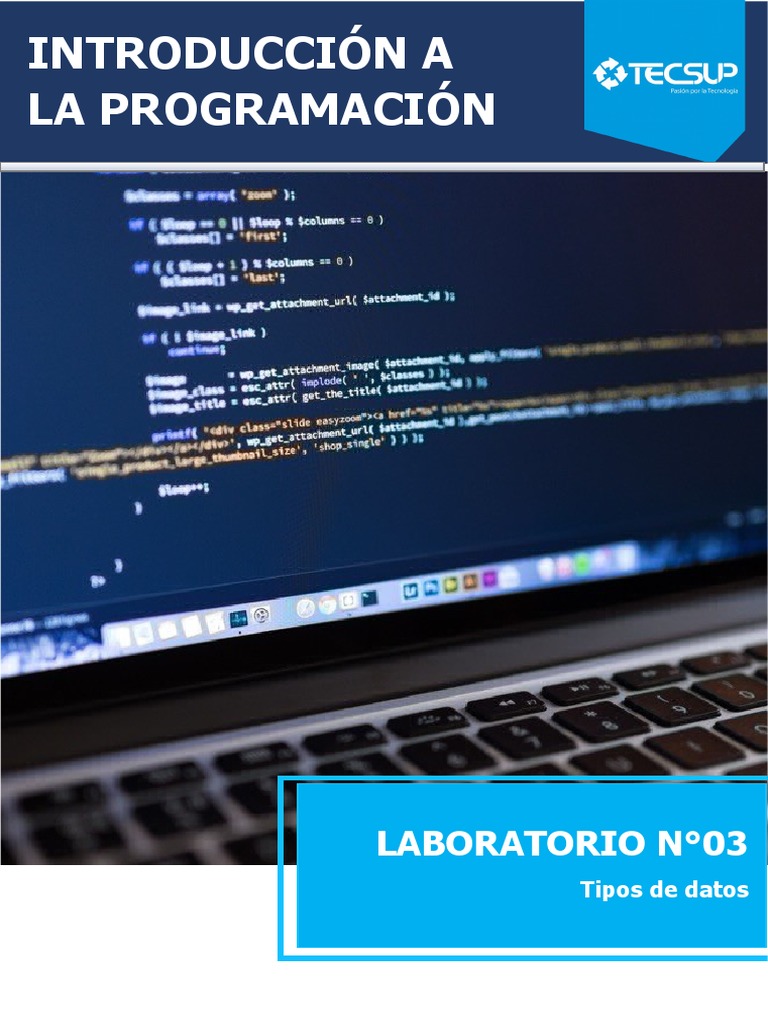 Laboratorio 03 Tipos de Datos | PDF | Tipo de datos | Python (lenguaje de programación)