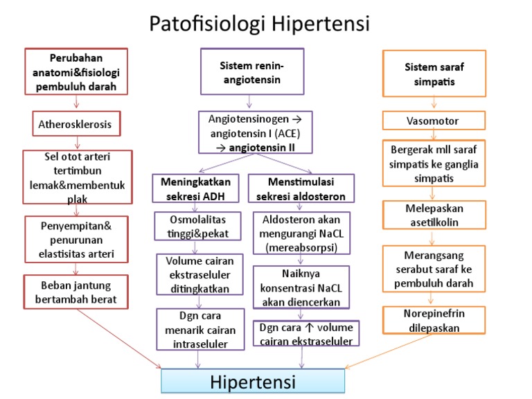 Patofisiologi Hipertensi | PDF