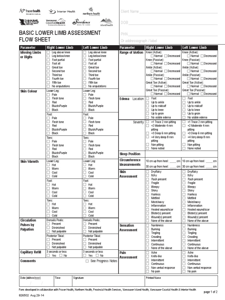 Lower Limb Assessment Flow Sheet | PDF | Human Leg | Foot