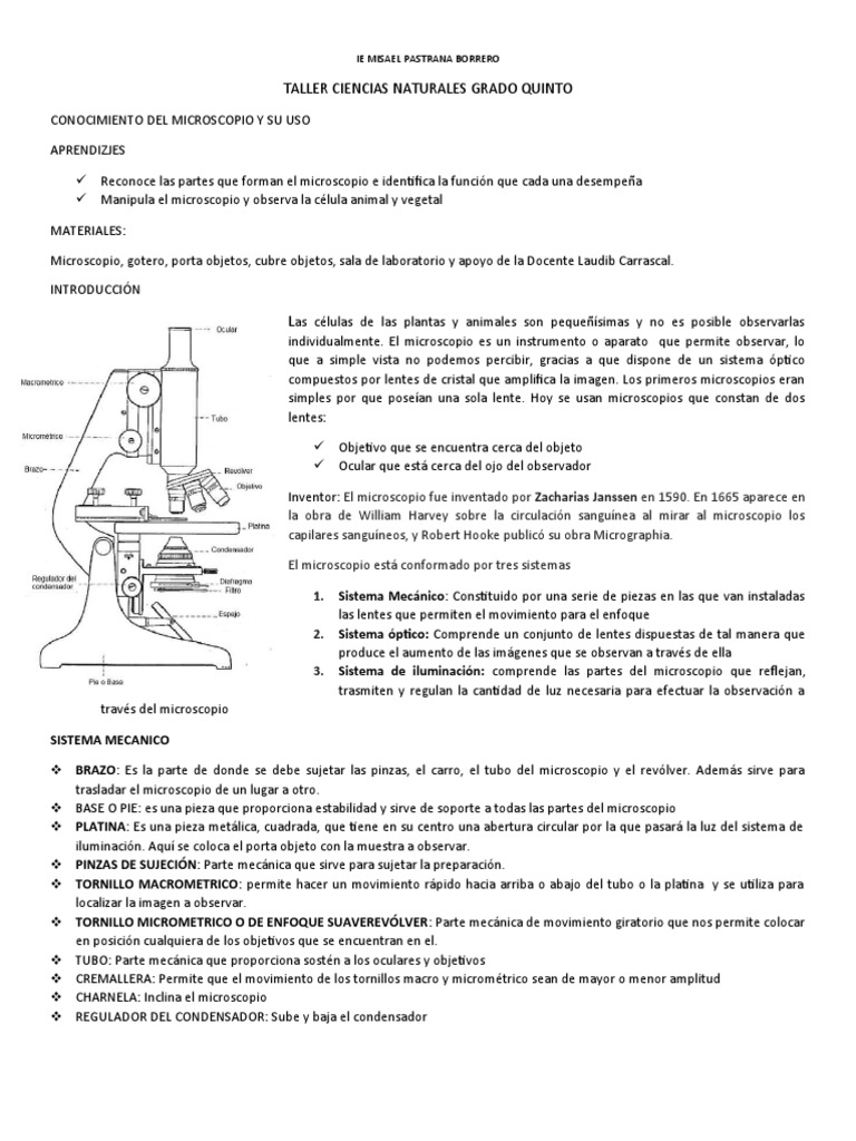 El Microscopio Taller | PDF | Microscopio | Óptica