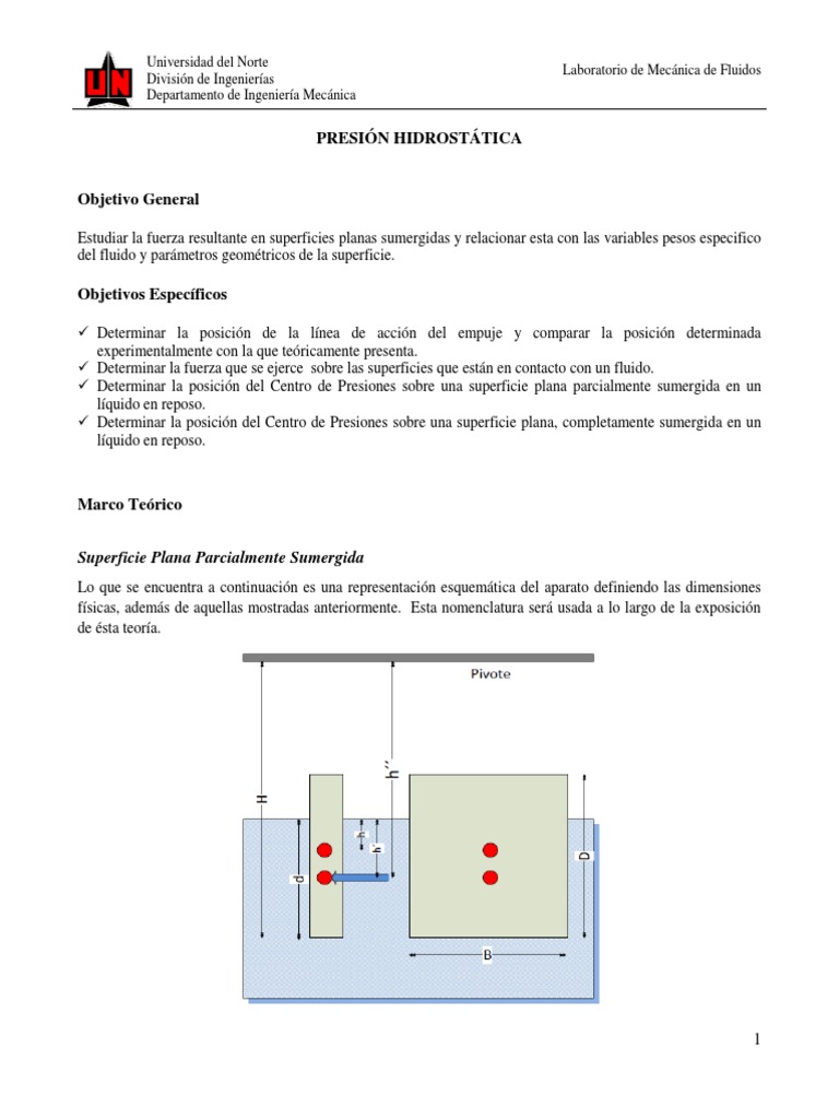 Guía Presión Hidrostática | PDF | Presión | Líquidos