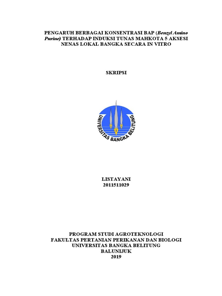 Proposal Benar | PDF