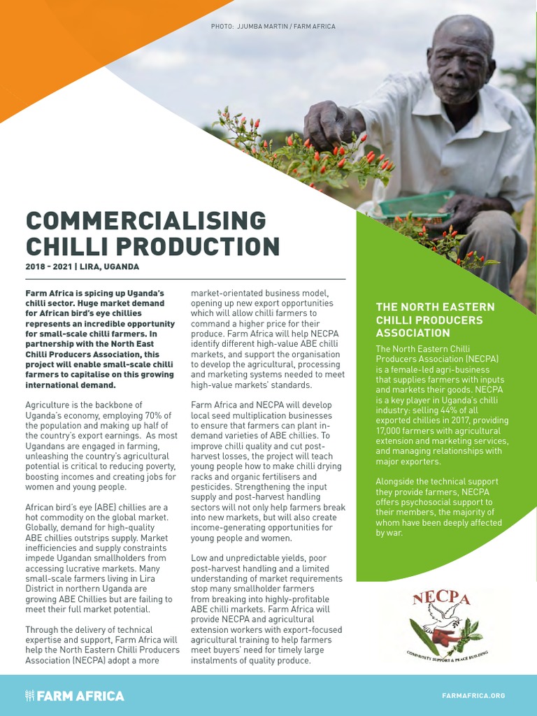 Uganda Chilli Market Expansion | PDF | Farmer | Sustainability