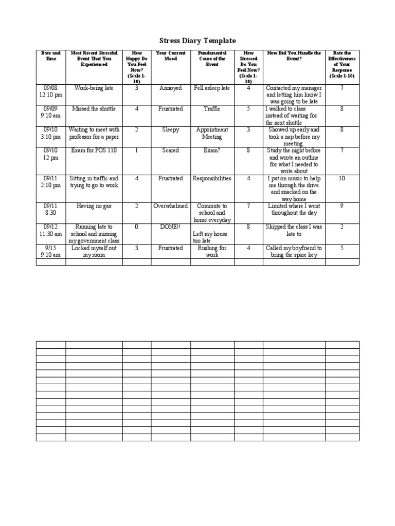 Stress Diary | PDF | Occupational Burnout | Psychology