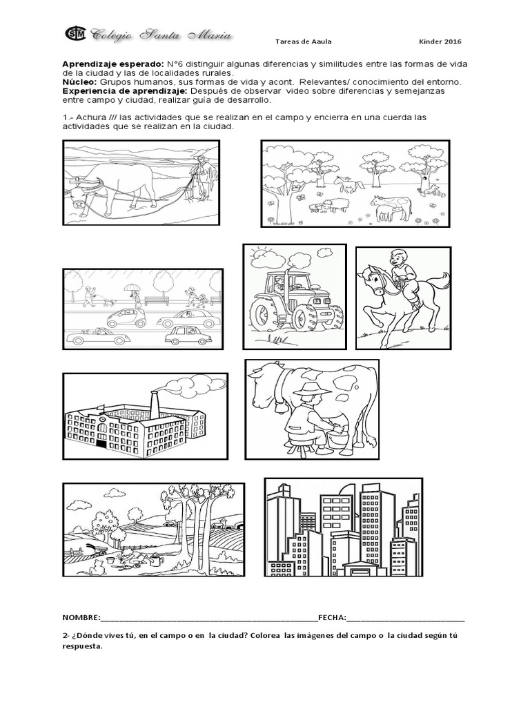 Actividades Campo y Ciudad para Niños | PDF | Hogar, jardinería y bricolaje