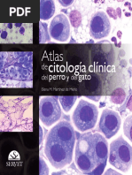 Atlas Del Desarrollo Embrionario Del Perro Embriologia - Compress | PDF ...