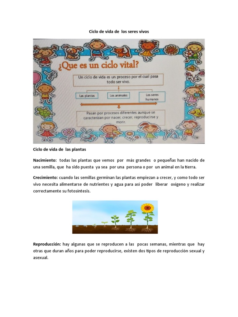 Ciclo de Vida de Los Seres Vivos | PDF | Plantas | Reproducción