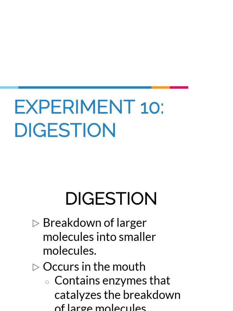 Experiment 10 - Digestion PDF | PDF | Digestion | Carbohydrates