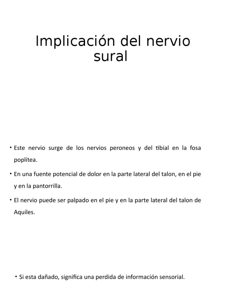 Implicación Del Nervio Sural | PDF | Lesión | Pie