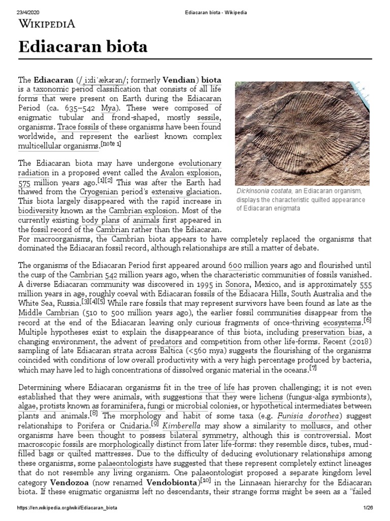 Ediacaran Biota | PDF | Earth Sciences | Organisms