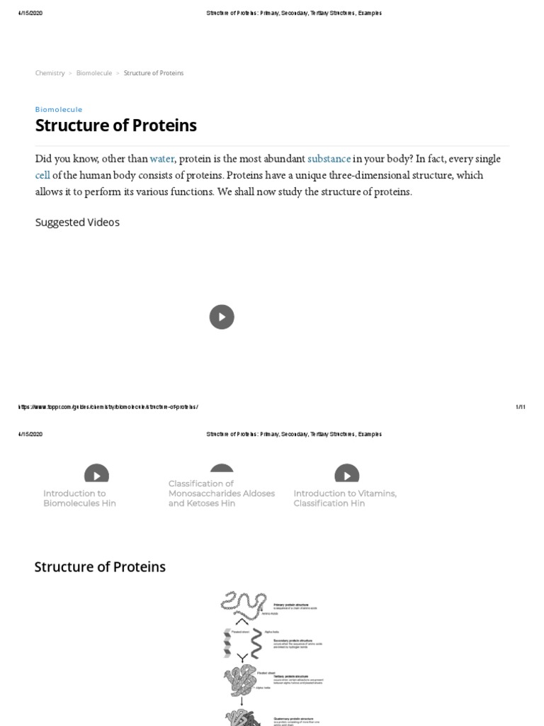 Structure of Proteins - Primary, Secondary, Tertiary Structures ...