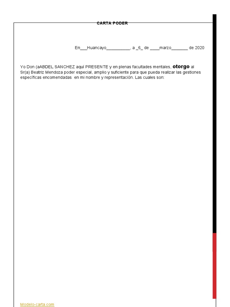 Carta Poder TESTIGOS | PDF