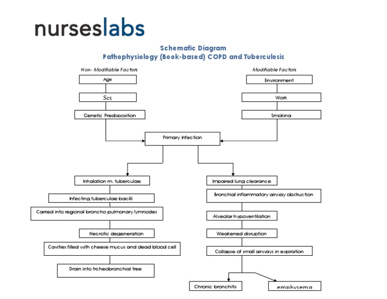 Copd Pathophysiology Flowchart