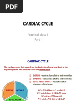 Cardiac Cycle | PDF | Diastole | Ventricle (Heart)
