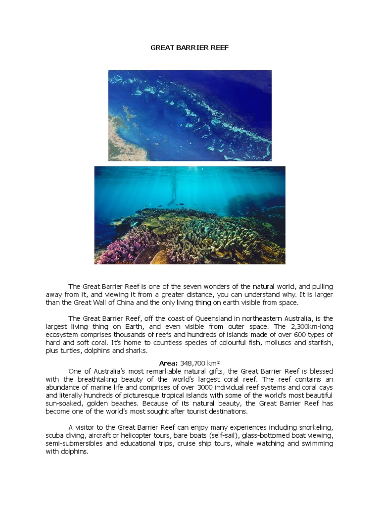 Coral Reef | PDF | Coral Reef | Earth Sciences