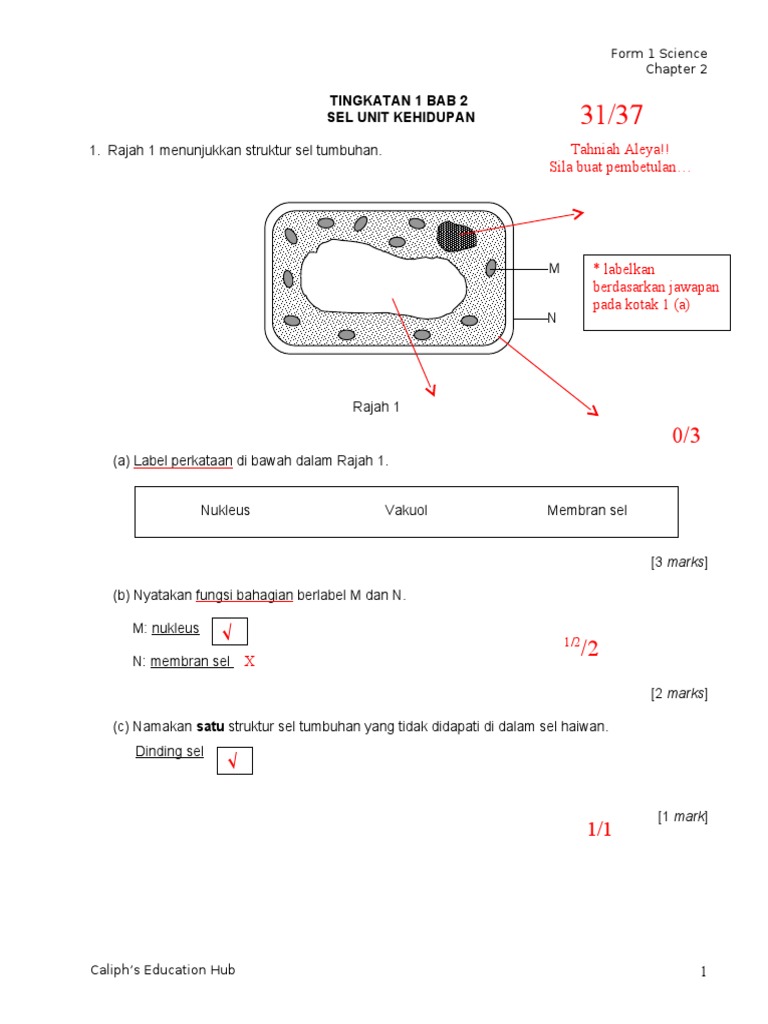 Latihan Sains-Ting-1-Bab-2 | PDF