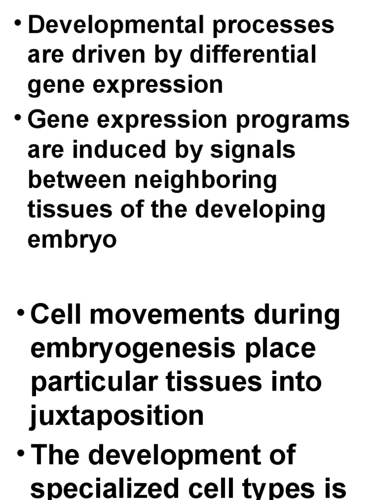 Cell Commitment N Determination | PDF | Cellular Differentiation ...