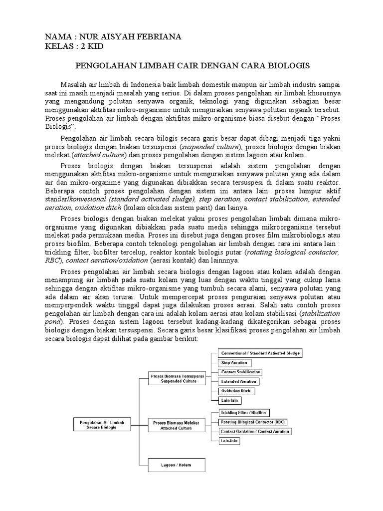 Nur Aisyah (TPL) | PDF