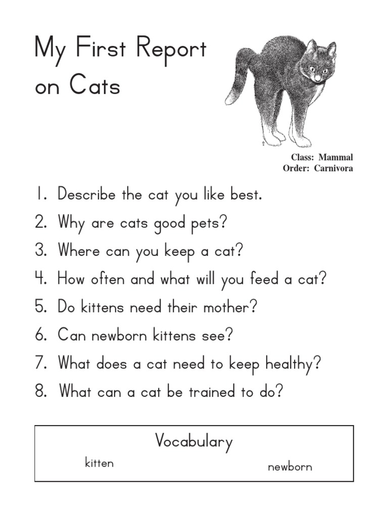 My First Report On Cats: Vocabulary | PDF | Sheep | Cattle