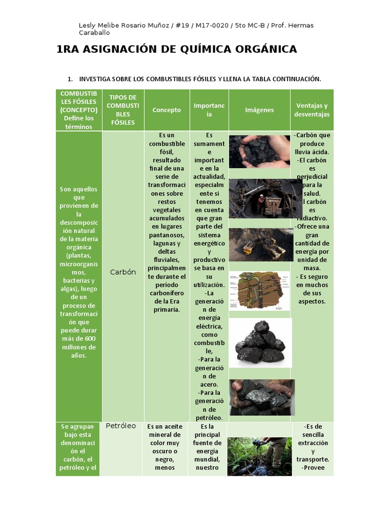 Combustibles Fósiles: Tipos y Usos | PDF | Hidrocarburos | Combustibles ...
