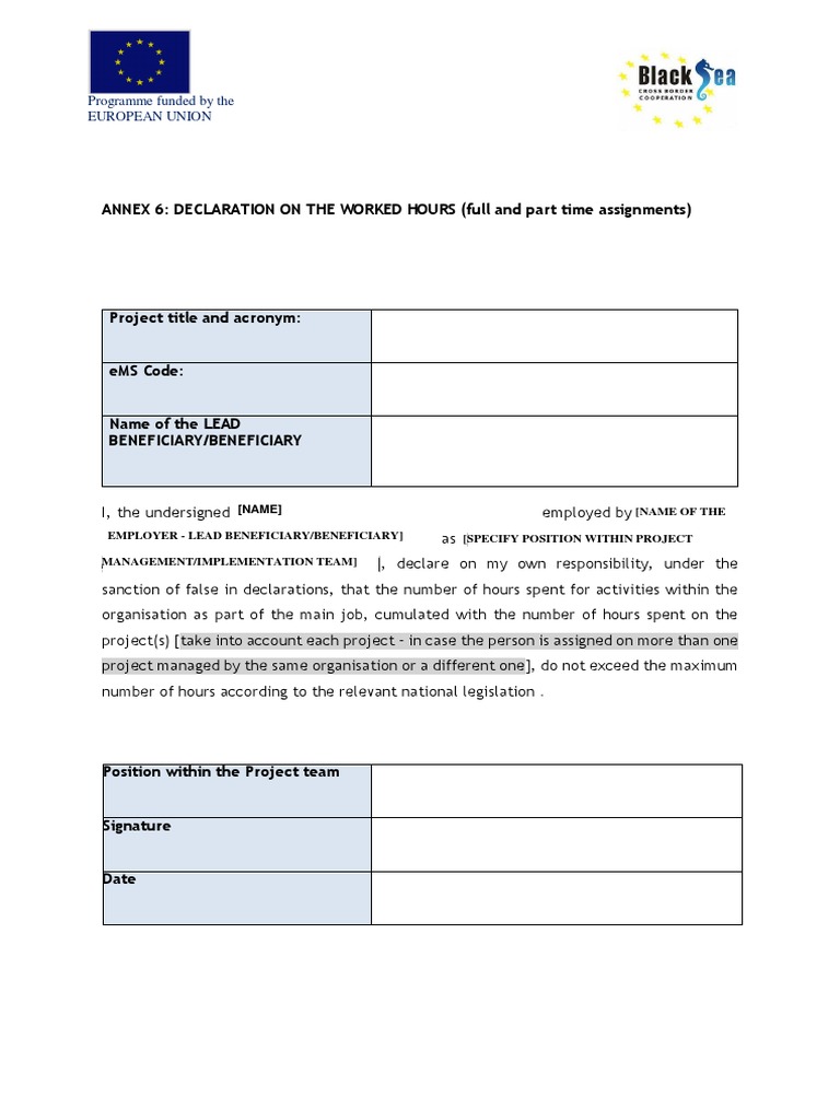 EU Project Work Hours Declaration | PDF