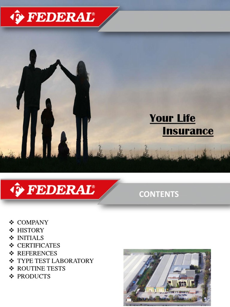 Federal Electric Presentation | PDF | Relay | Electrical Connector