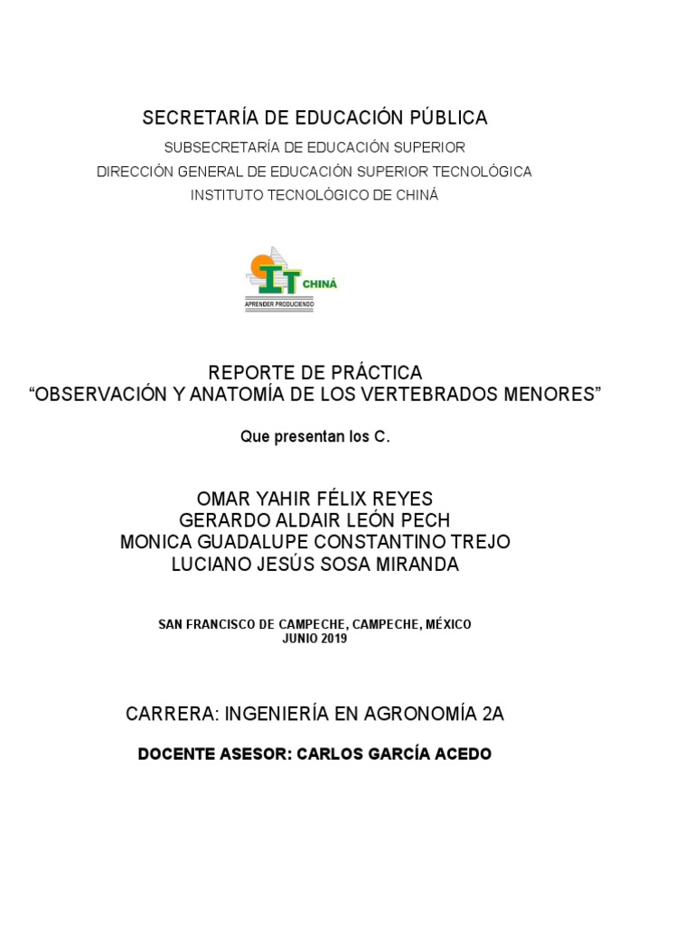 Reporte Vertebrados - Pract 4 | PDF | Reptil | Vertebrados