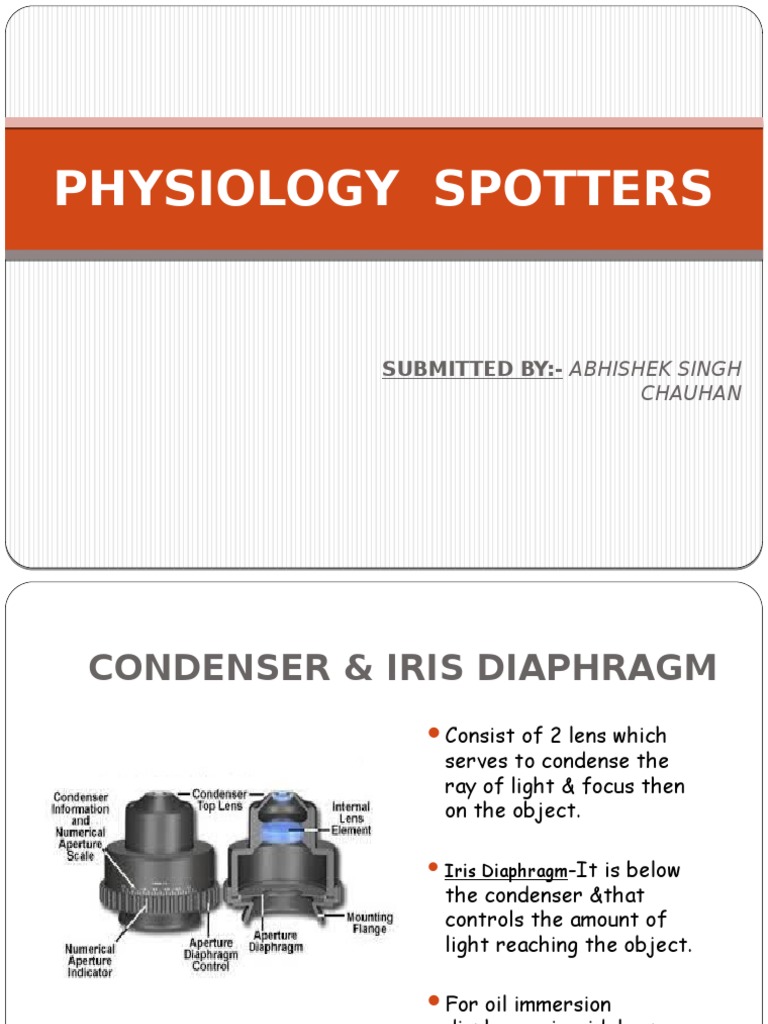 Physiology Spotters: Submitted By:-Abhishek Singh | PDF | Staining | White Blood Cell