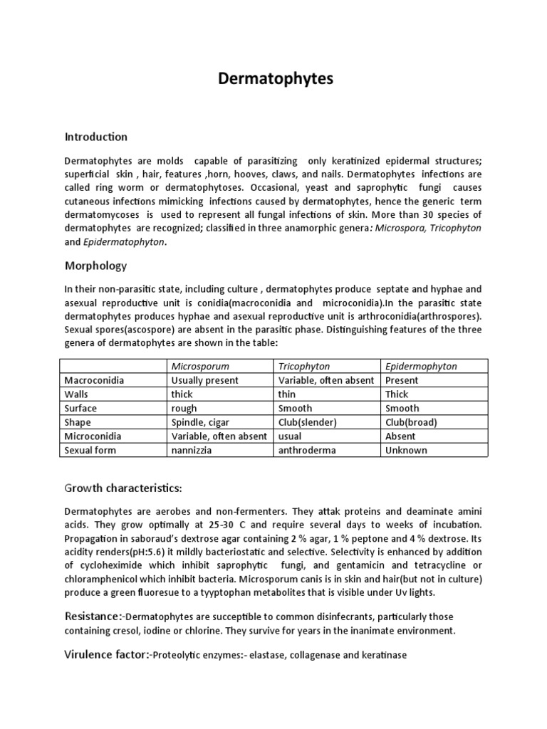 Dermatophytes: Microsporum Tricophyton Epidermophyton | PDF | Fungus ...