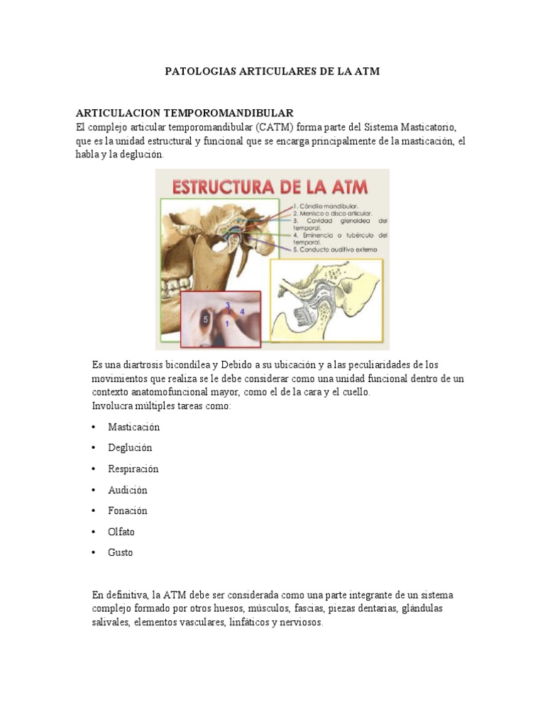 Patologías de la ATM y su anatomía | PDF | Articulación | Inflamación