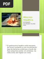 Cápsula de Glisson | PDF | Tejido adiposo | Riñón