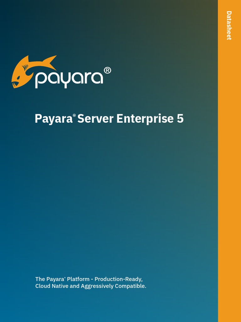 Payara Server Enterprise Data Sheet | PDF | Cloud Computing | Java ...