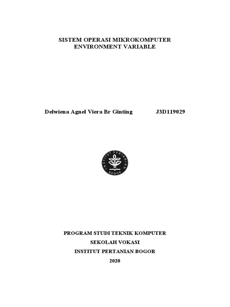 Sistem Operasi Mikrokomputer Environment Variable | PDF