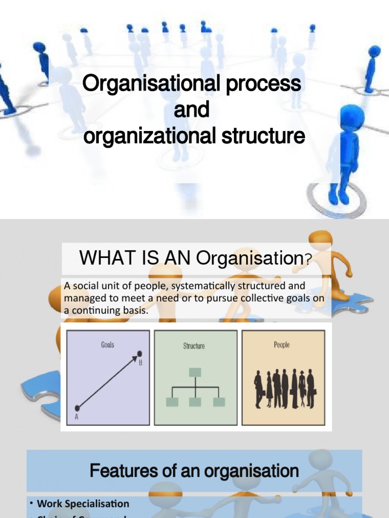 Organisational Process MPOB | PDF | Organizational Structure | Business