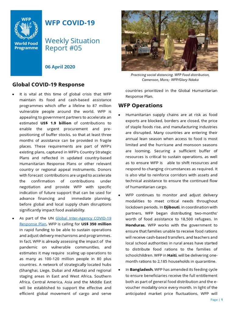 WFP 0000114128 PDF | PDF | World Food Programme | Supply Chain