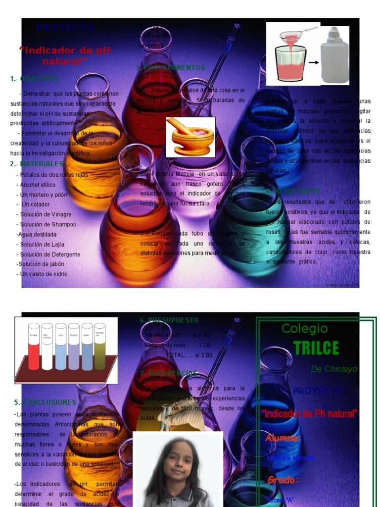 Triptico-Experimento Modelo | PDF | Ph | Color