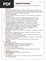 Anatomie des anses grêles et mésentère | PDF | Péritoine | Spécialités ...
