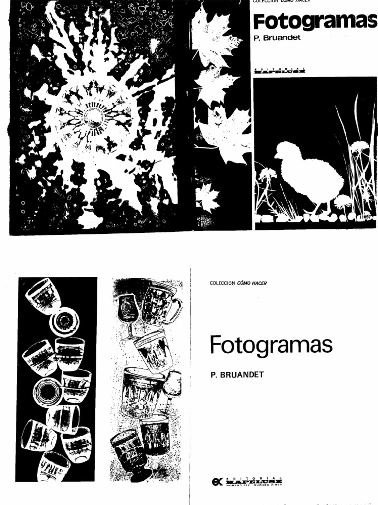 BRUANDET - Fotogramas | PDF