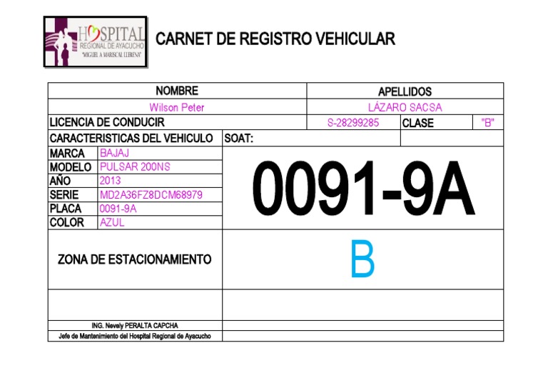 Carnet de Registro Vehicular | PDF