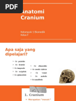 Anatomi Maksila & Mandibula | PDF