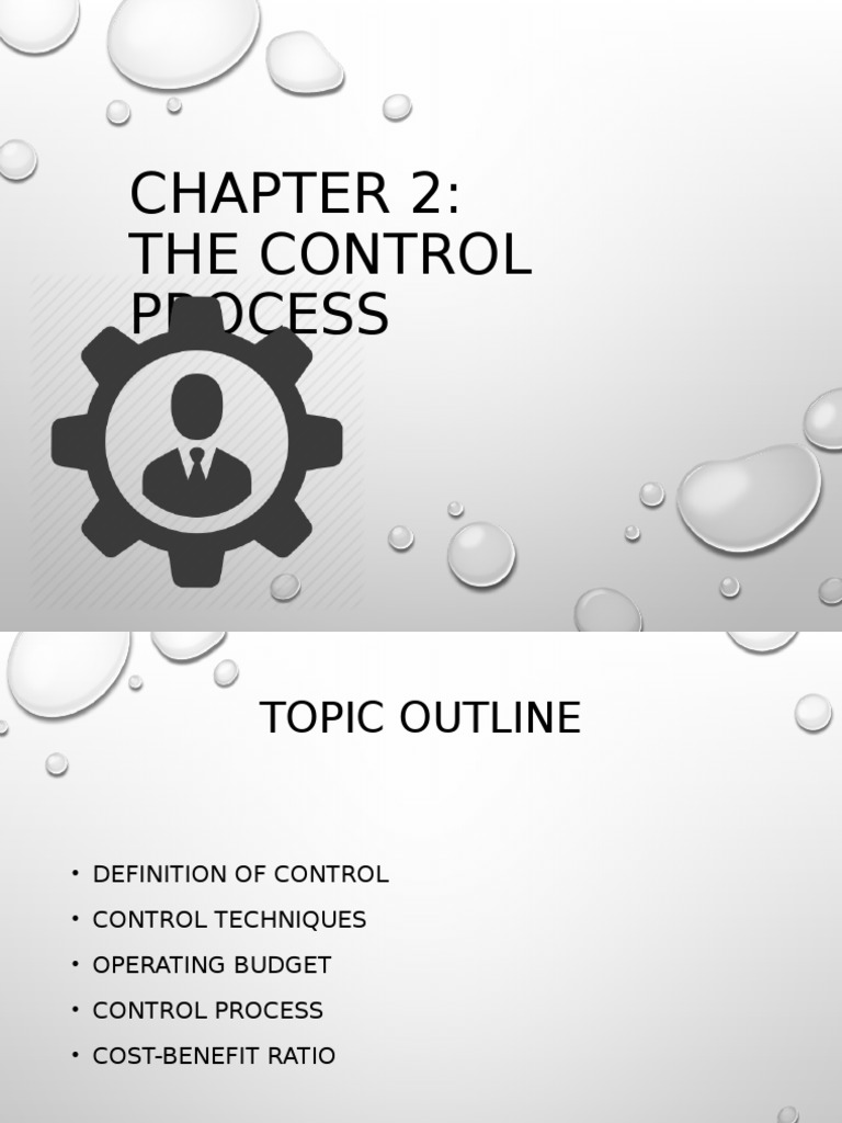Chapter 2 - The Control Process | PDF | Cost Accounting | Cost