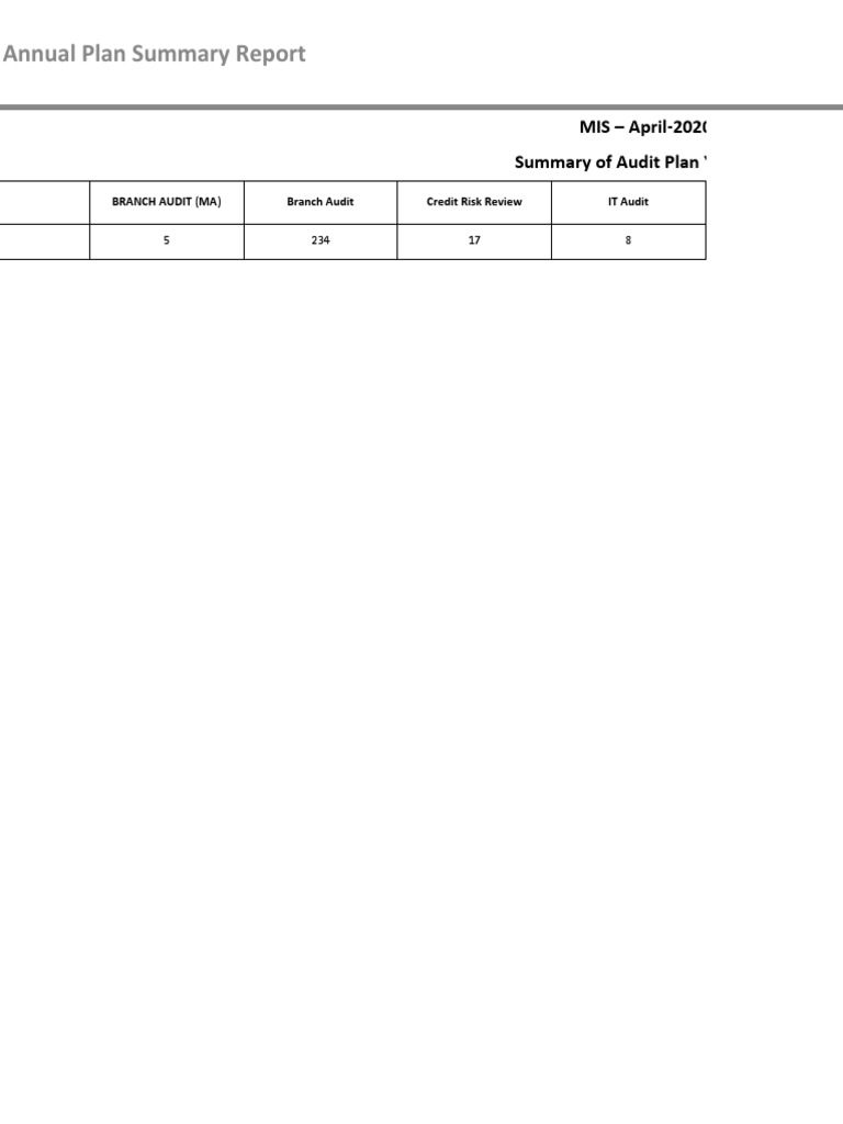 MIS Audit Report | PDF | Service Industries | Banking