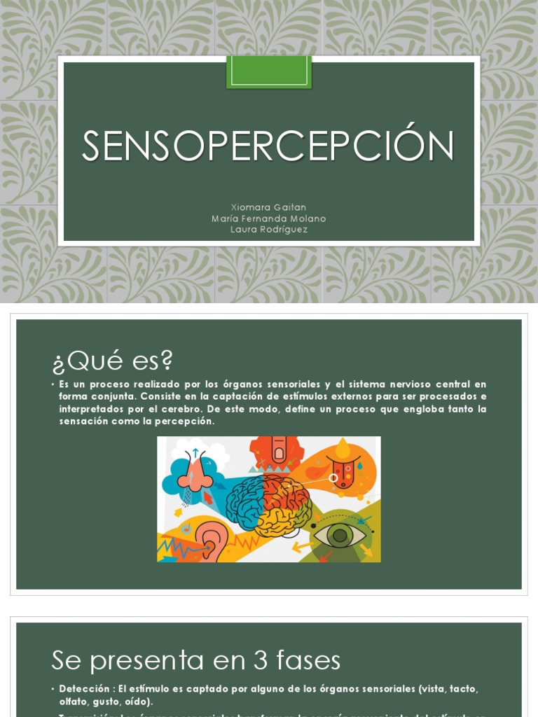 Sensopercepción | PDF | Estímulo (fisiología) | Percepción