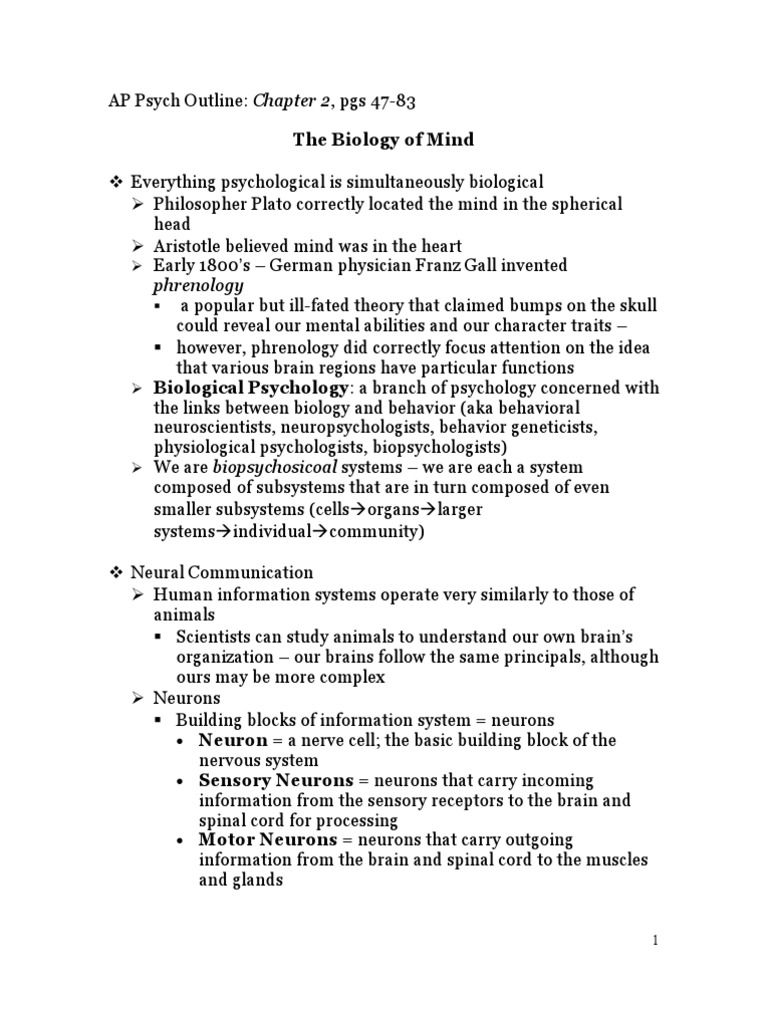 AP Psych Outline - Chapter 2, Pgs 47-83 | PDF | Neurotransmitter ...