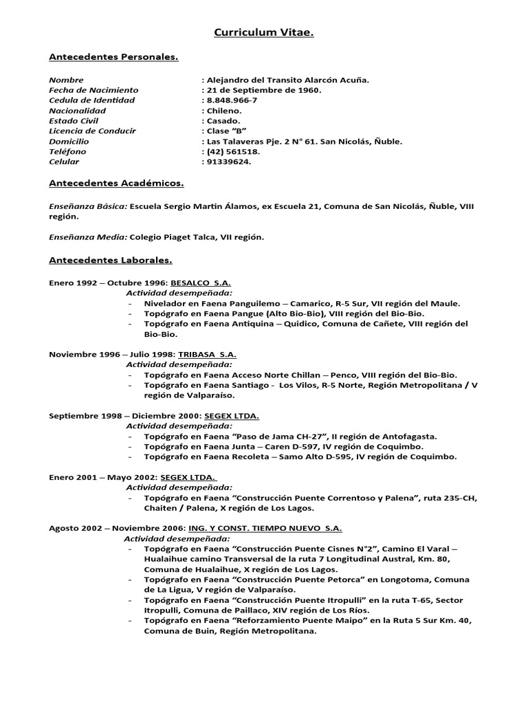 Curriculum Vitae Alejandro Alarcón | PDF | Transporte | Transporte por carretera