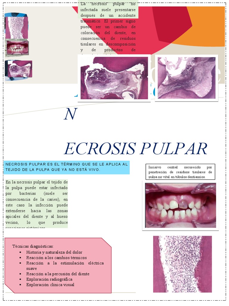 NECROSIS PULPAR Inicio | PDF | Descomposición | Biología