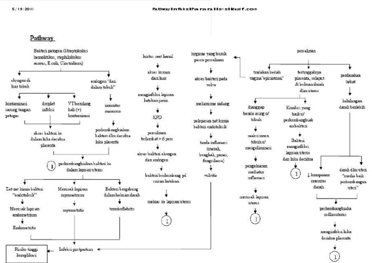 Pathway Infeksi | PDF
