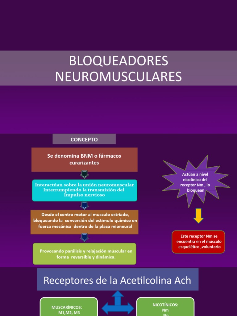 BLOQUEADORES NEUROMUSCULARES (Succinil Colina) | PDF | Acetilcolina ...